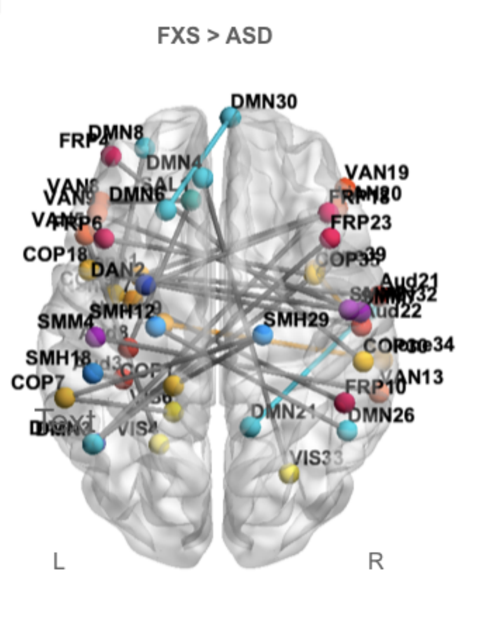 brain dynamics lab / papers